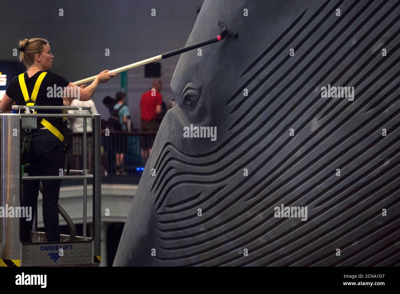 Life Size Model Of A Blue Whale High Resolution Stock Photography and ...