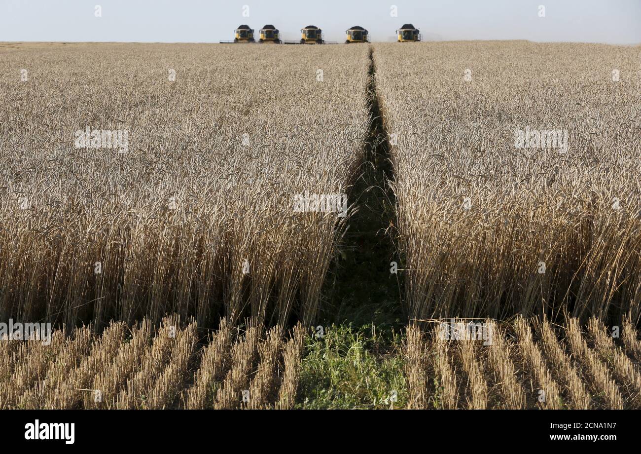 Russia farming village hi-res stock photography and images - Alamy