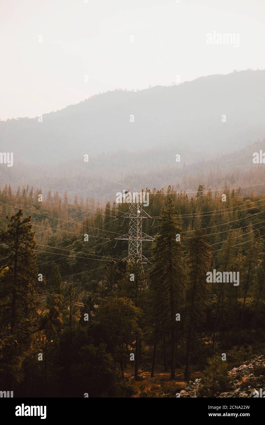 Pylon trees woods hi-res stock photography and images - Alamy