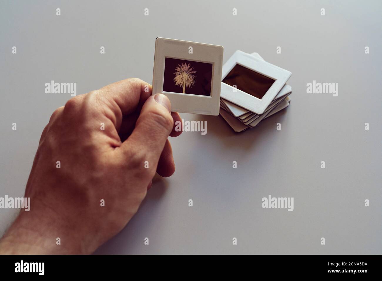 Hand holding photographic slides Stock Photo - Alamy