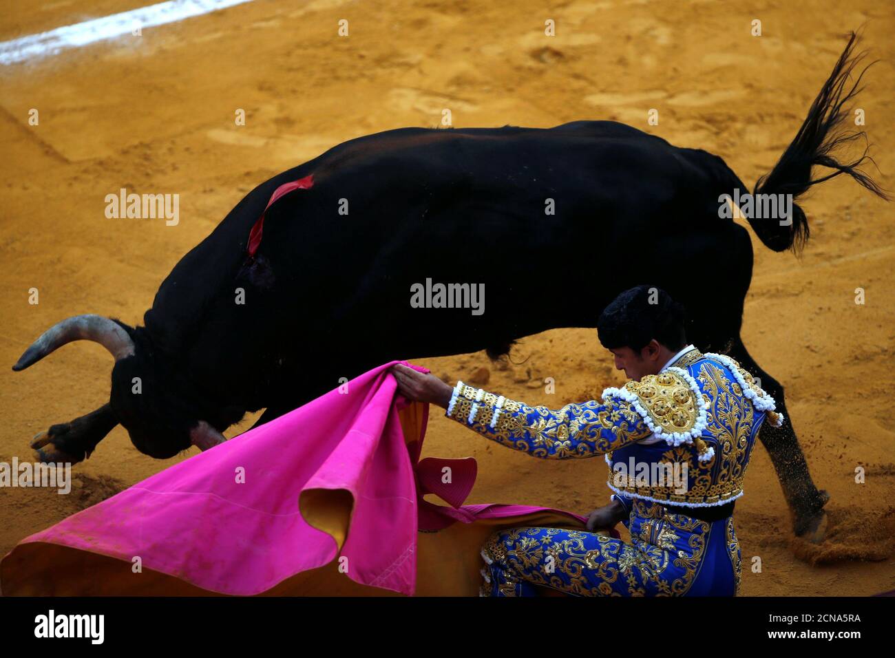 Francisco rivera bullfight hi-res stock photography and images - Alamy