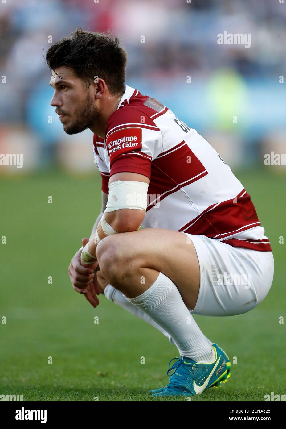 Oliver Gildart Tigers High Resolution Stock Photography and Images - Alamy