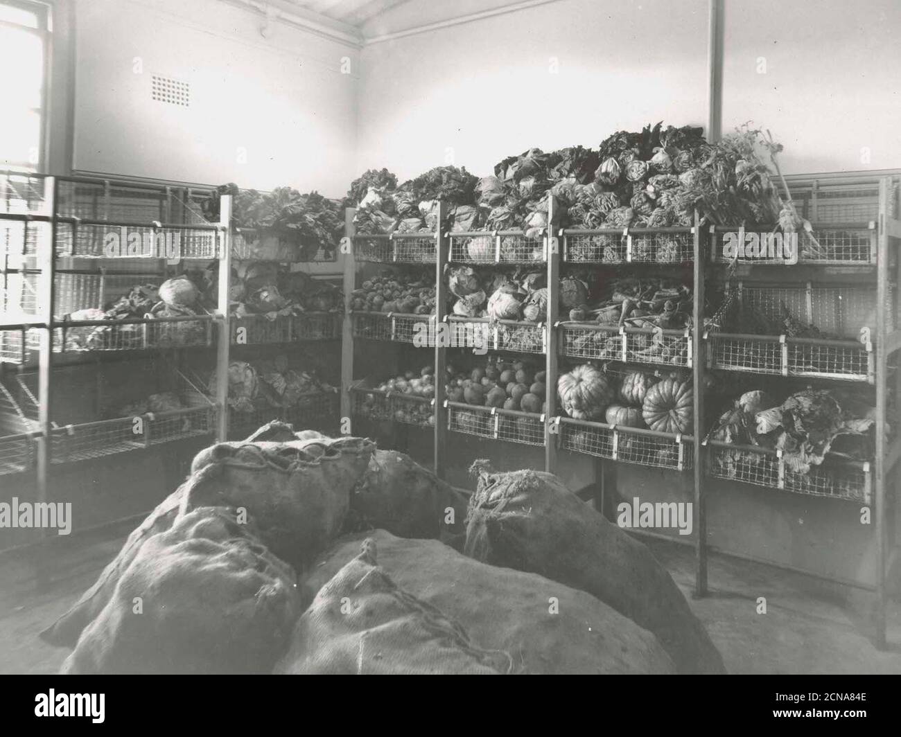 Chullora High Resolution Stock Photography and Images - Alamy