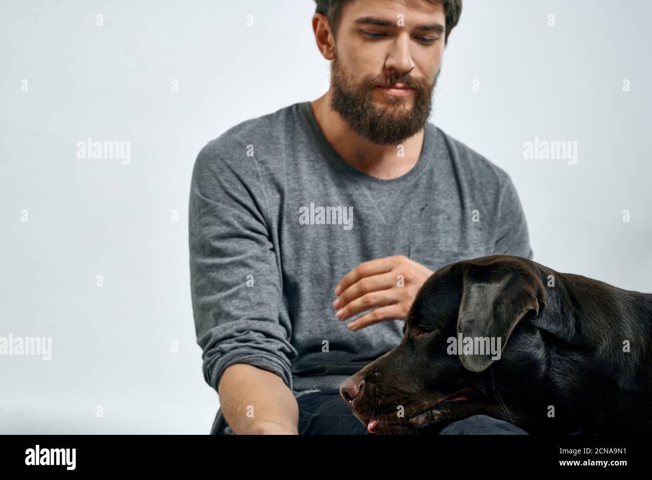 happy owner with pet black dog training model emotions Stock Photo - Alamy