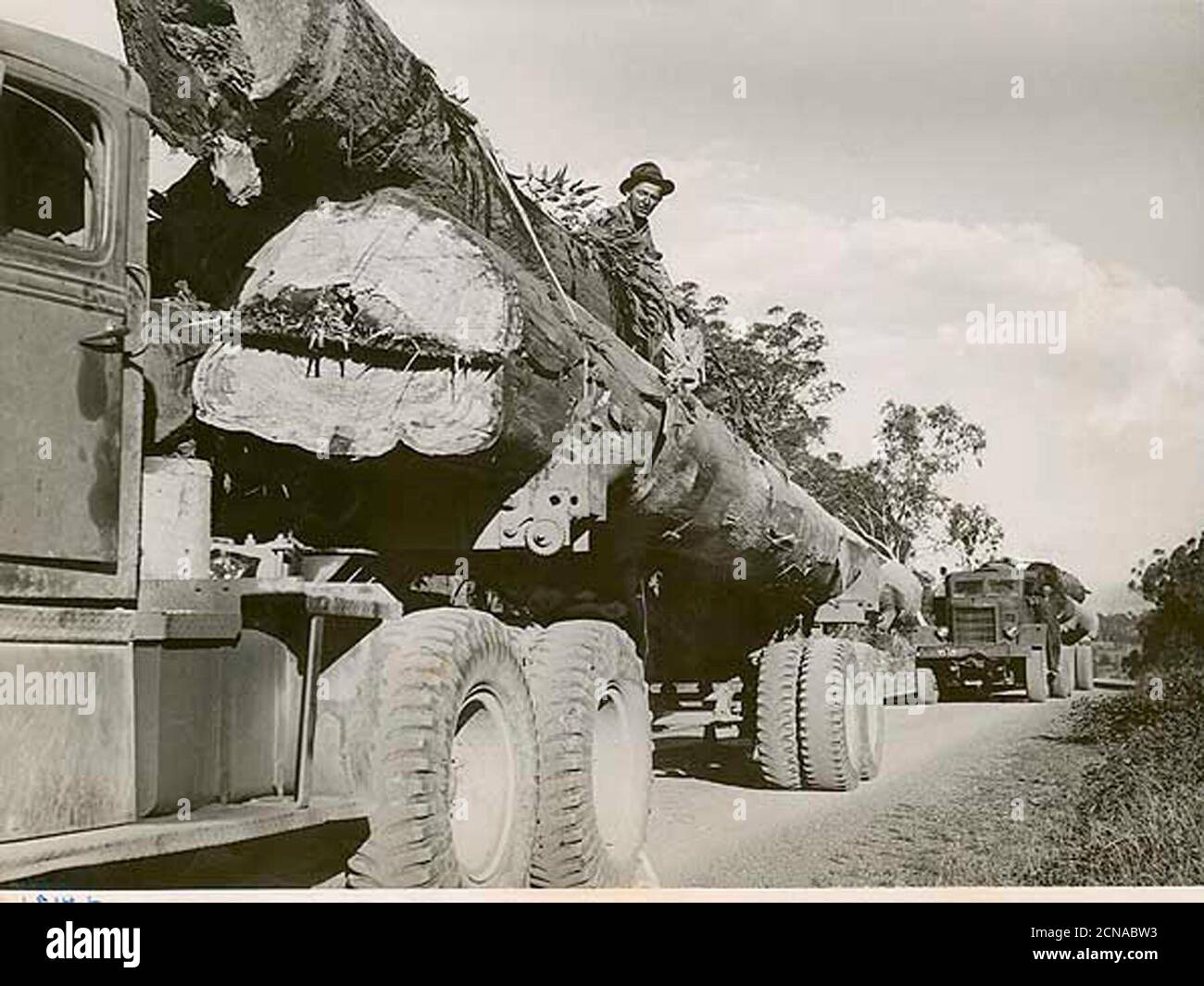 Old Historic Logging History High Resolution Stock Photography and ...