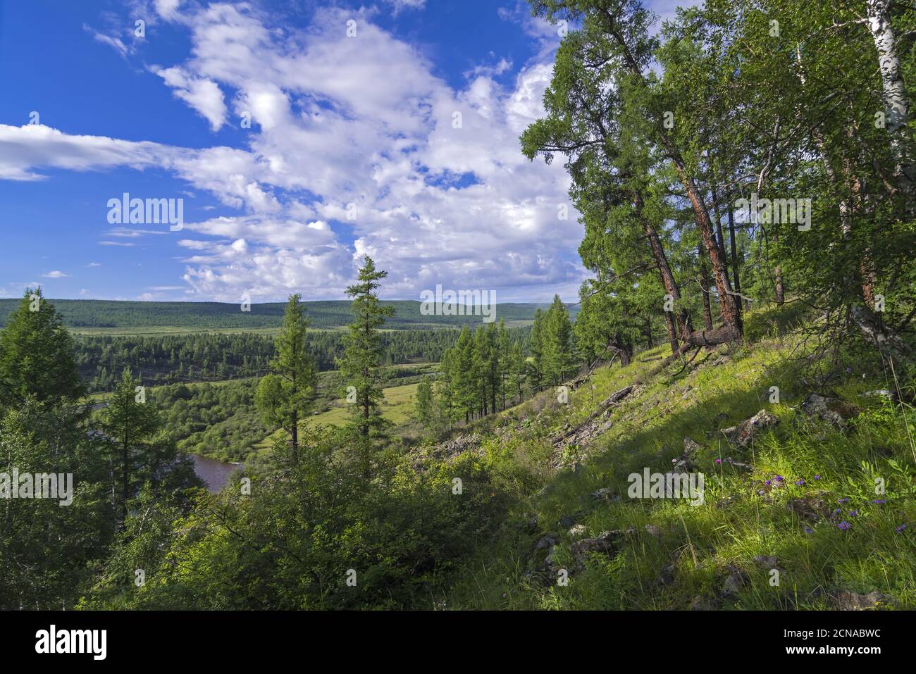 View of the valley of the small river from a forested hillside Stock ...