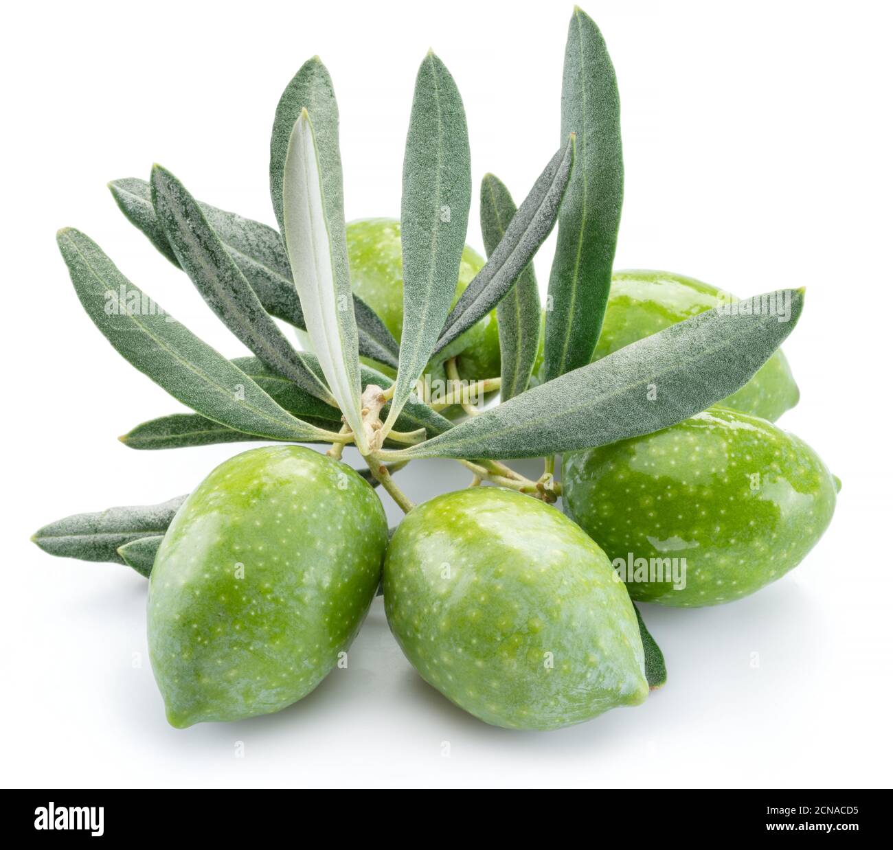 Green natural olives with leaves isolated on a white background Stock ...