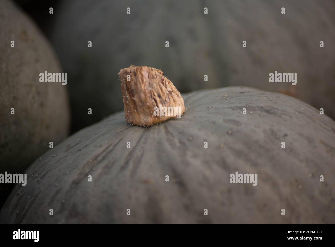 Organic farm stand hi-res stock photography and images - Alamy