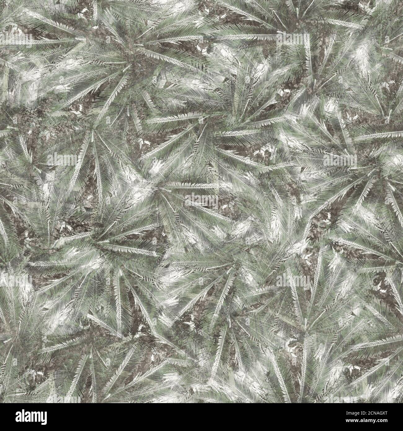 Neutral tropical palm tree leaves seamless pattern Stock Photo - Alamy