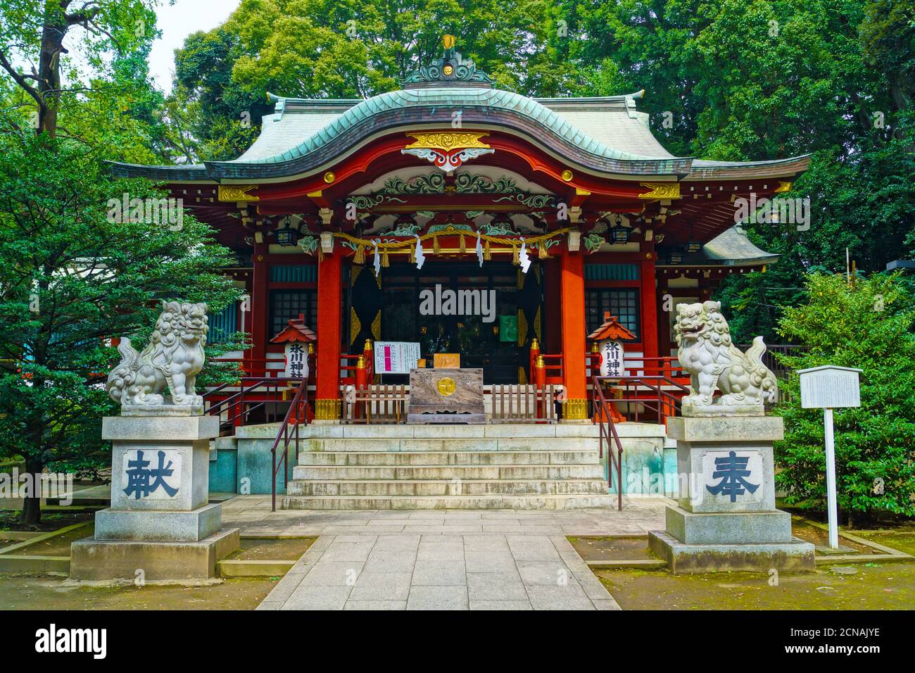 Image of trees Stock Photo - Alamy