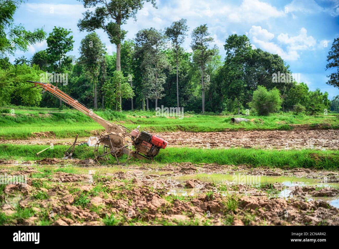 Old hand held tractor wheel plough in rice field Stock Photo - Alamy
