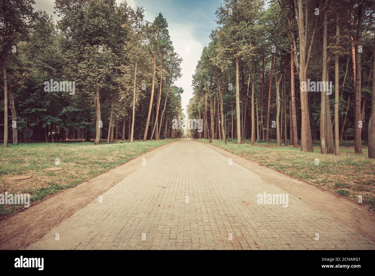 Forest path for pedestrians hi-res stock photography and images - Alamy