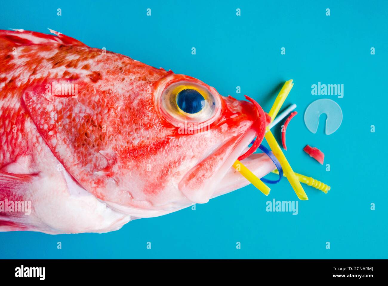 Microplastics hi-res stock photography and images - Alamy