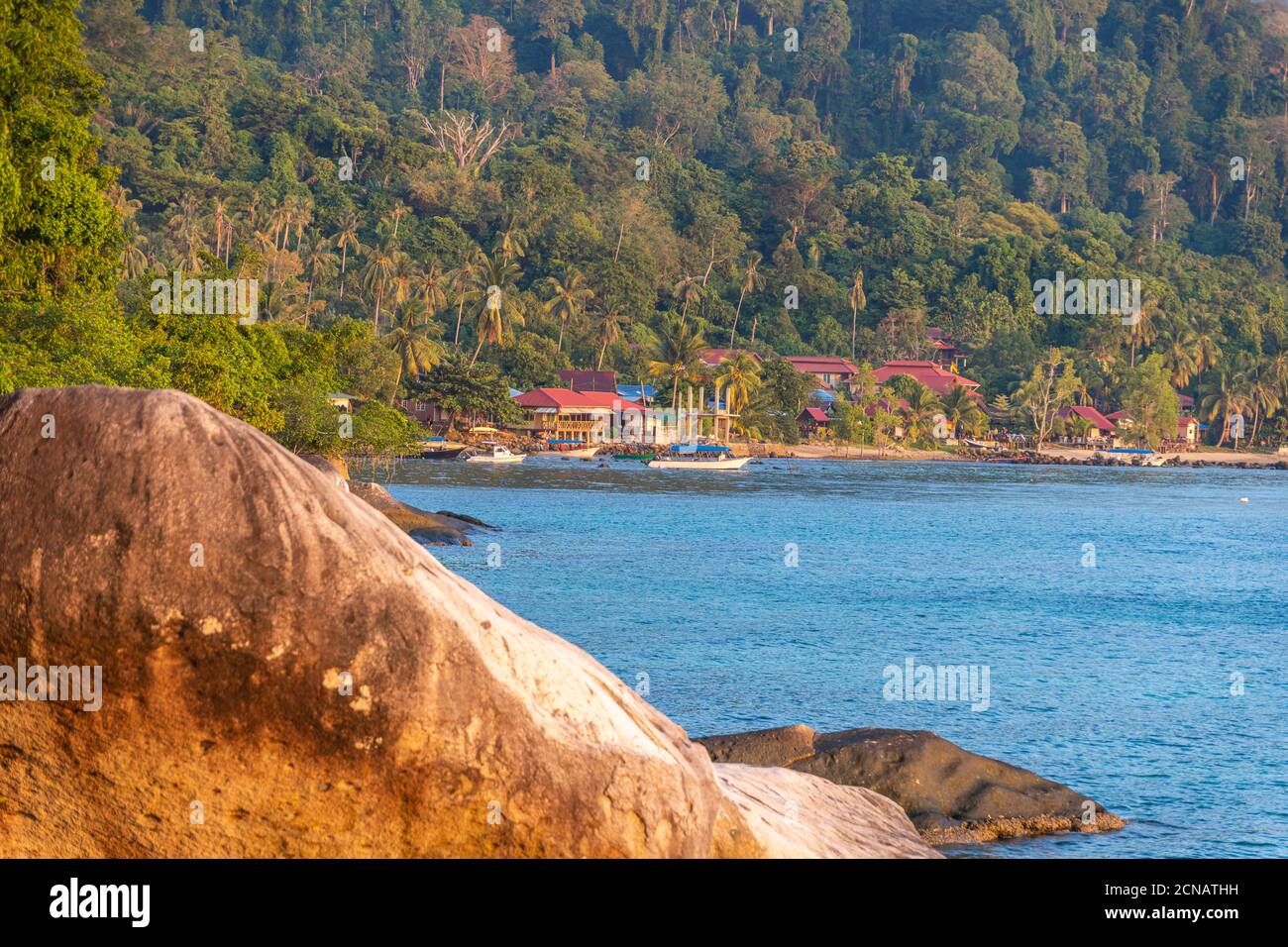 Hike on Tioman from ABC Beach to Monkey Beach through the rainforest ...