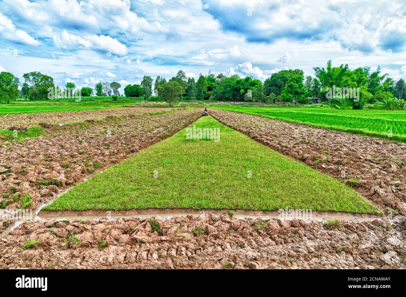 Motor plow hi-res stock photography and images - Alamy