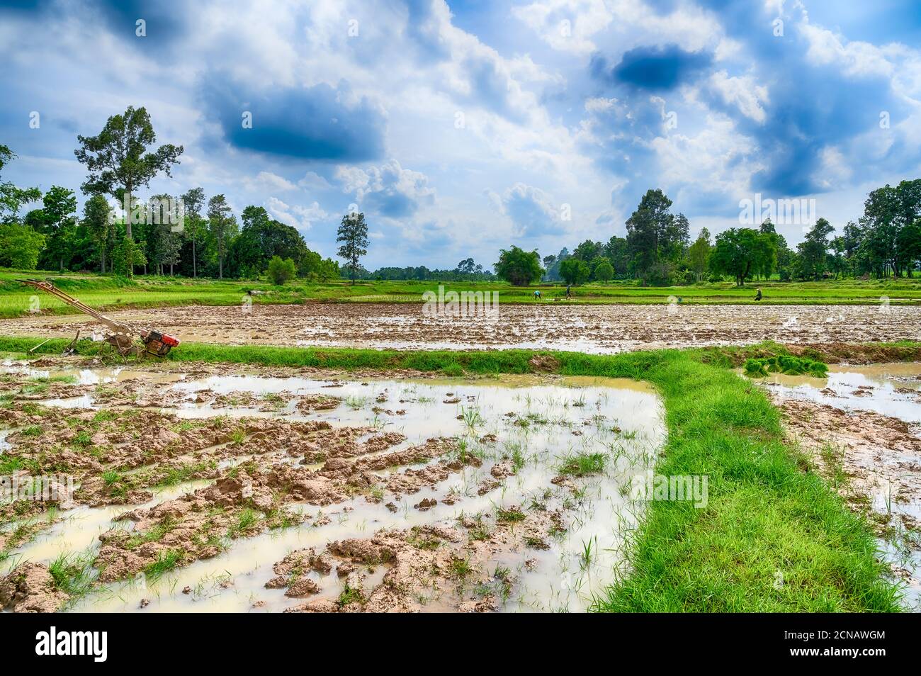 Old hand held tractor wheel plough in rice field Stock Photo - Alamy