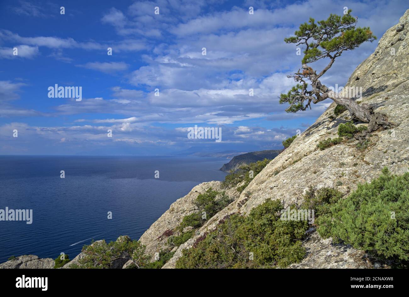 Top view above nice hi-res stock photography and images - Alamy