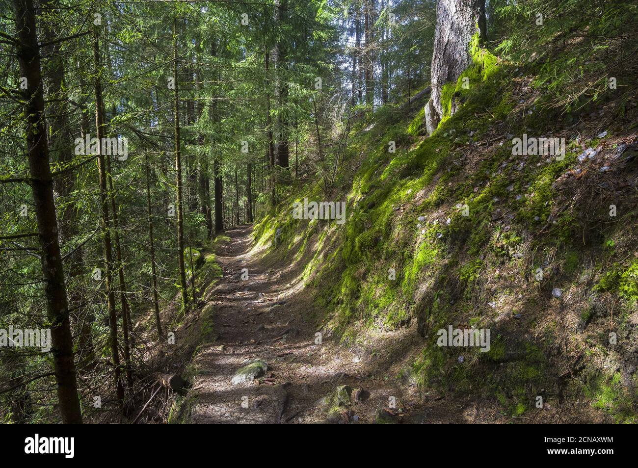 Hillside trail hi-res stock photography and images - Alamy