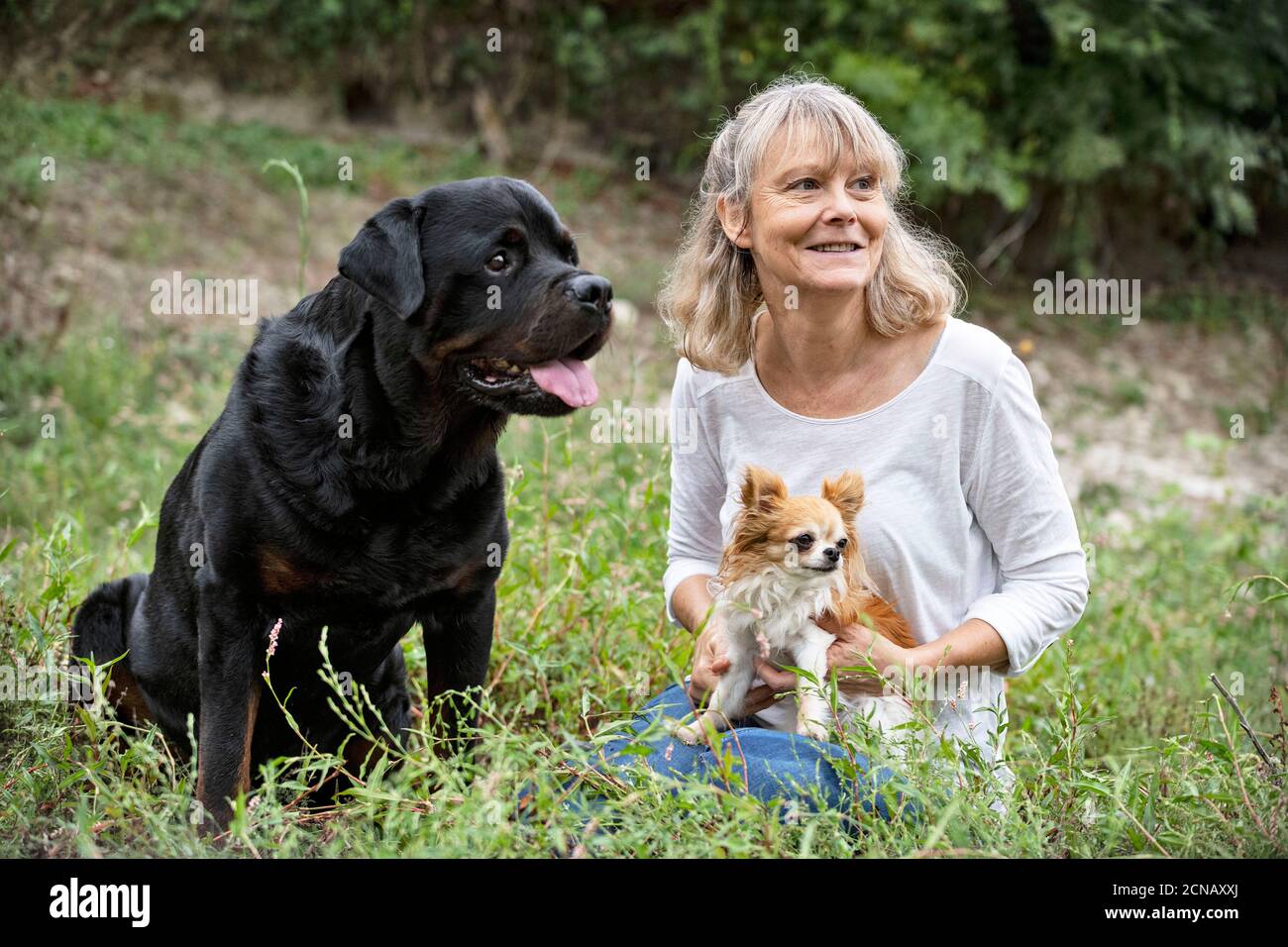 two dogs and a woman in the nature Stock Photo - Alamy
