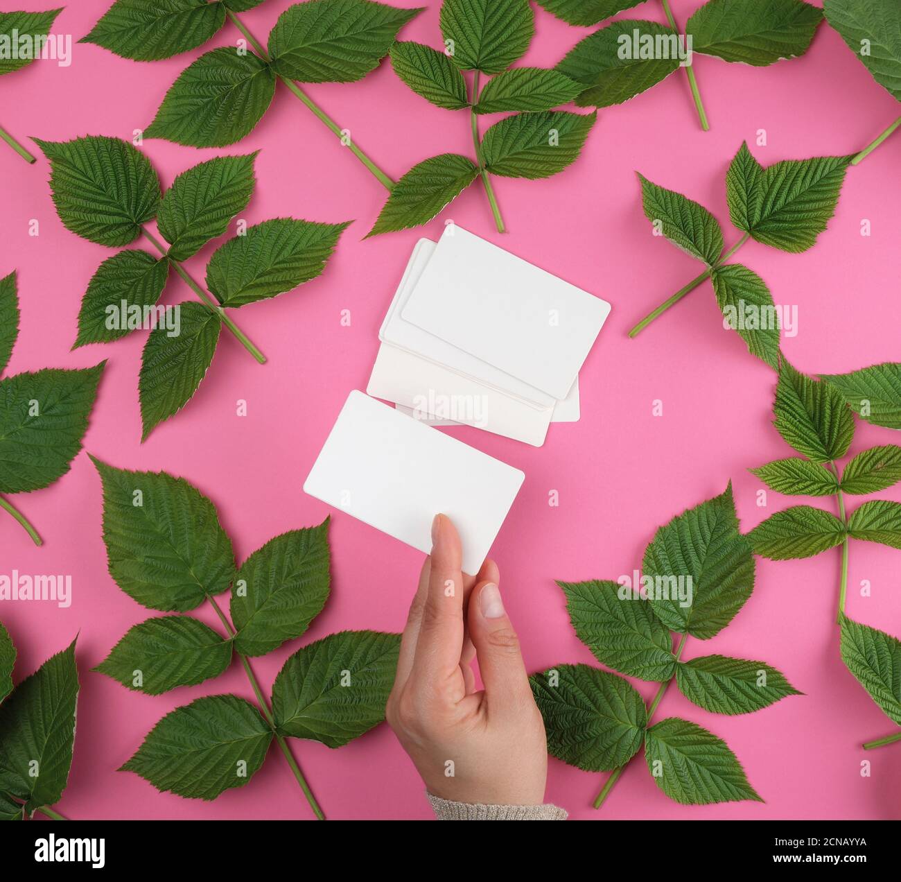 Hand holding cards hi-res stock photography and images - Alamy