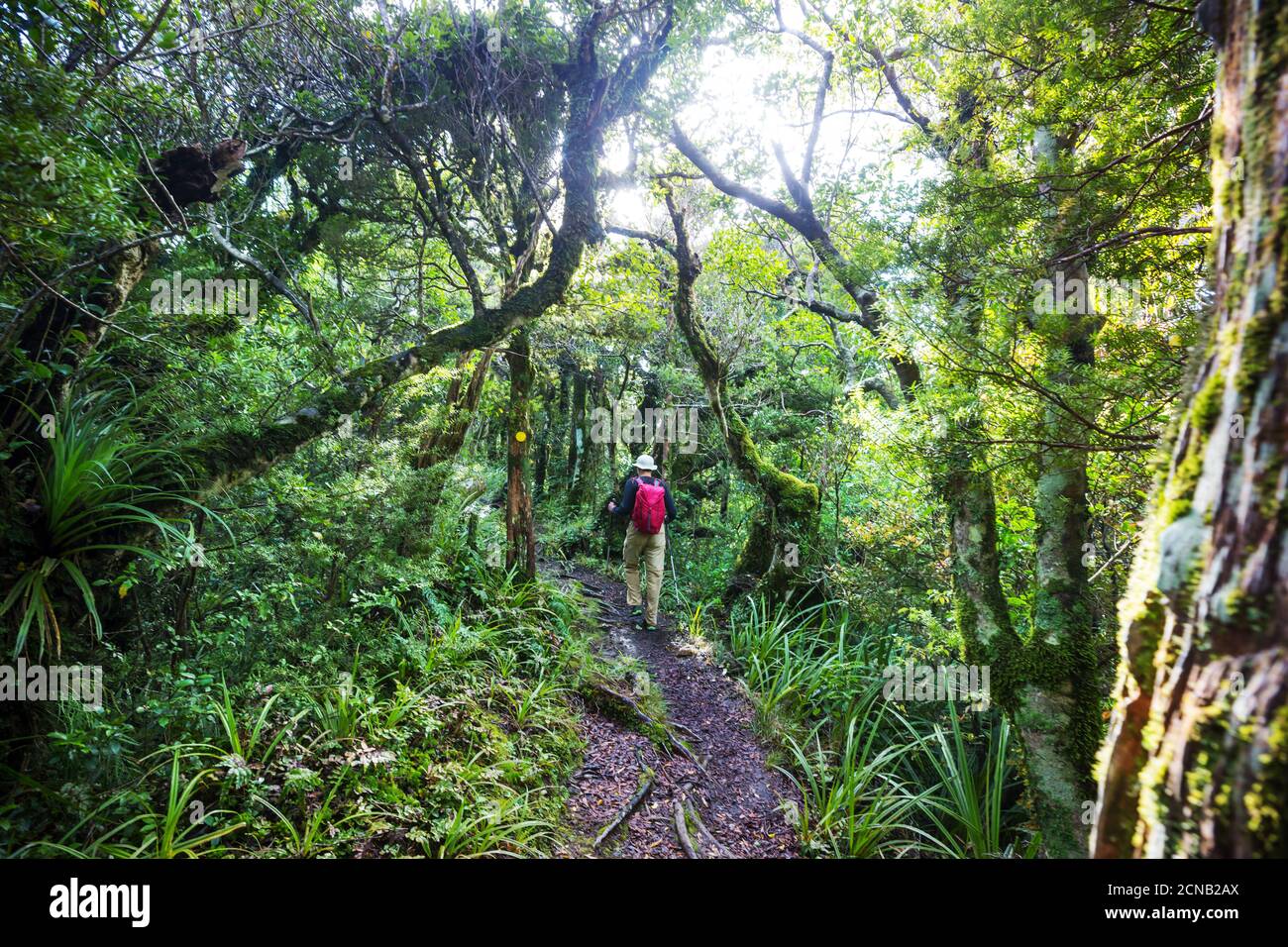 Tramping man hi-res stock photography and images - Alamy