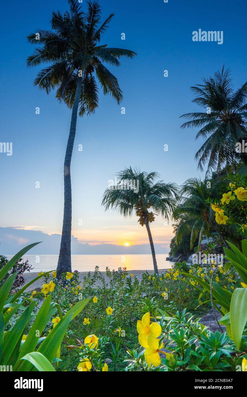 Sunset over the ocean at ABC Beach, Tioman, Malaysia Stock Photo - Alamy