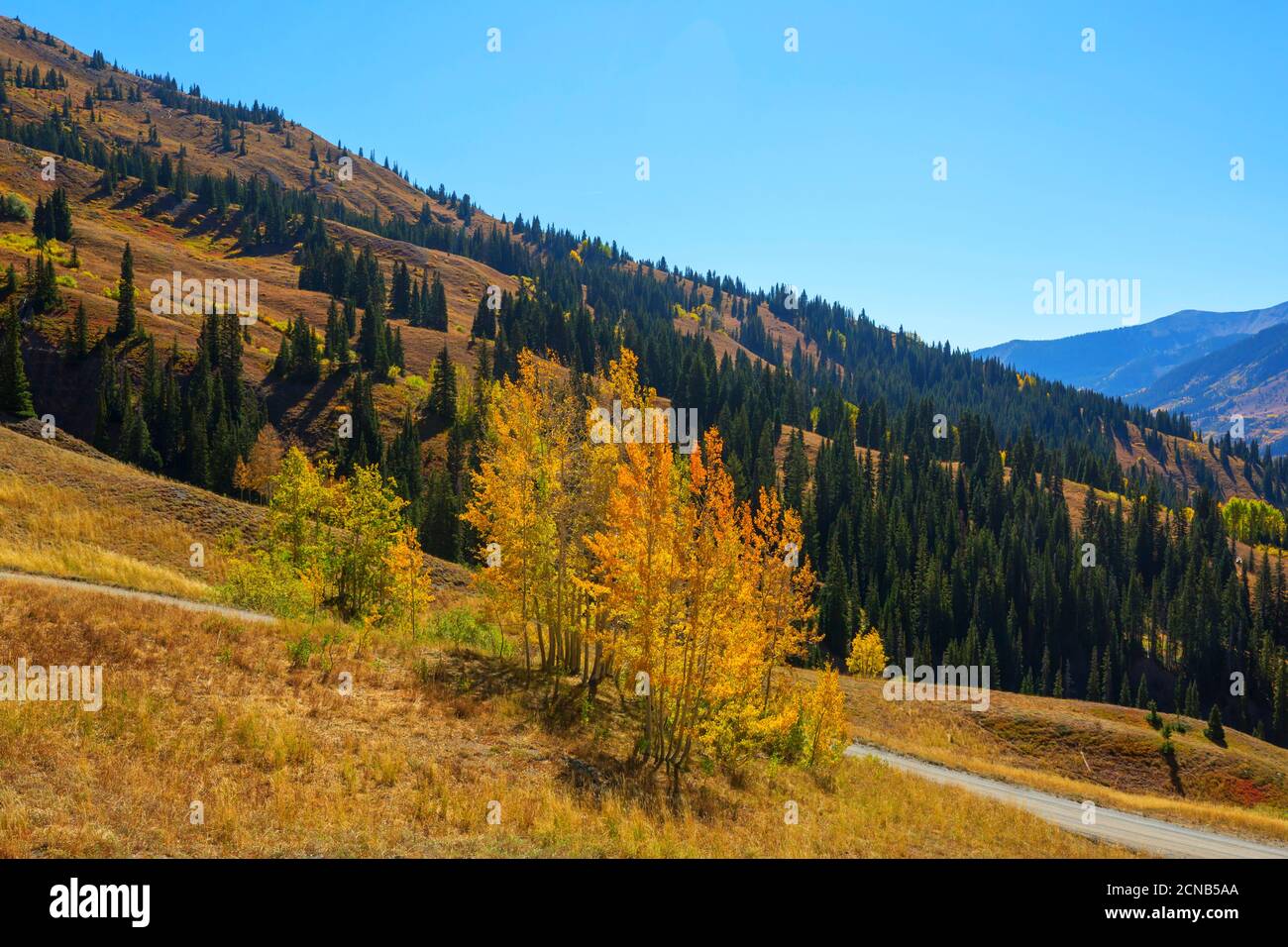 Autumn in Colorado Stock Photo - Alamy