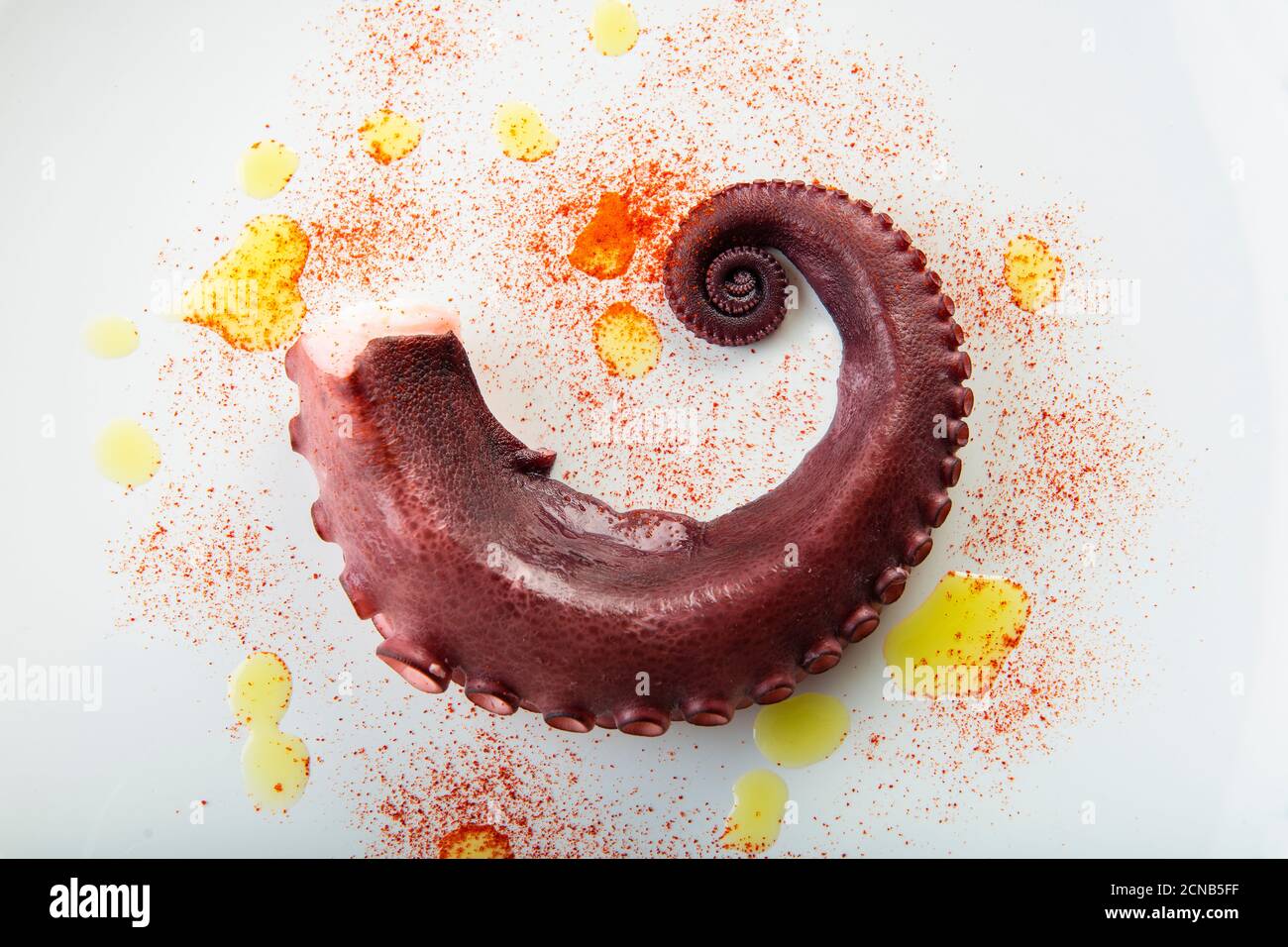 Cooked octopus tentalce isolated on a white background and decorated ...