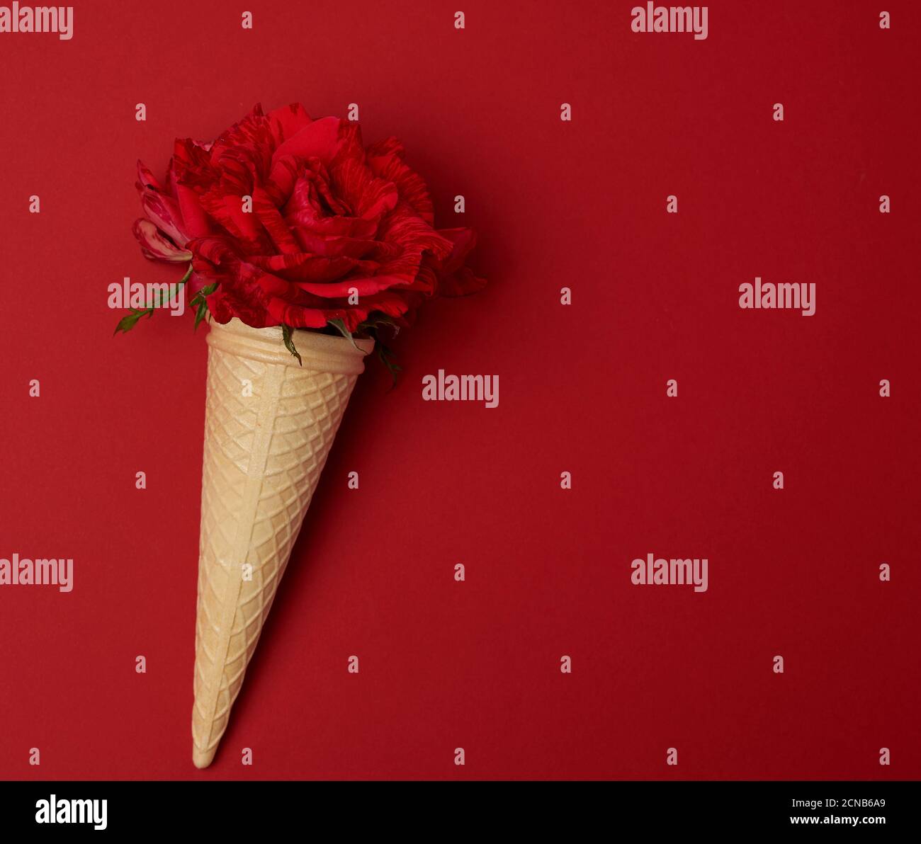 blooming red rose in a waffle cone on a red background Stock Photo - Alamy