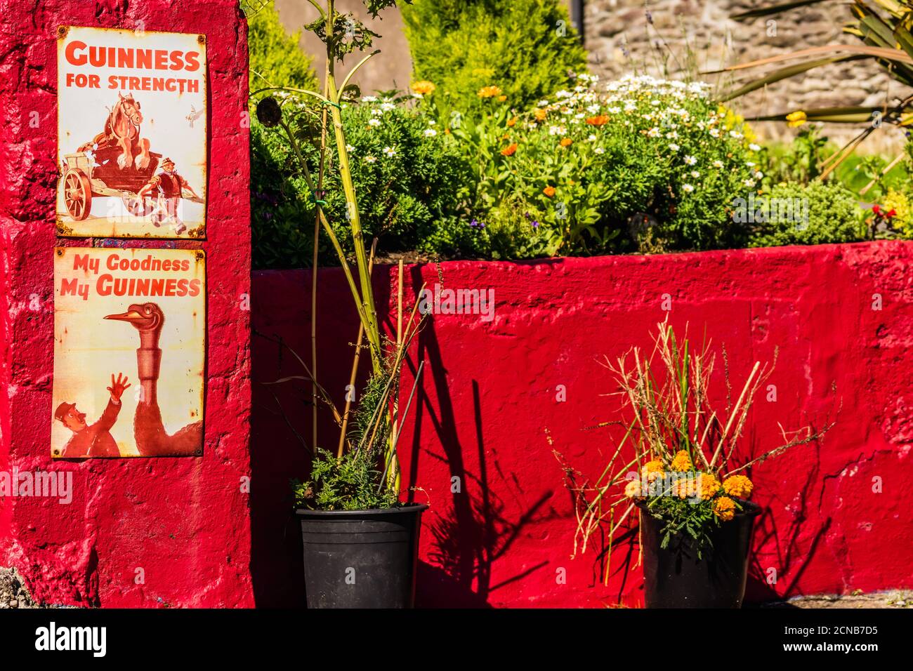 Guinness wall hi-res stock photography and images - Alamy