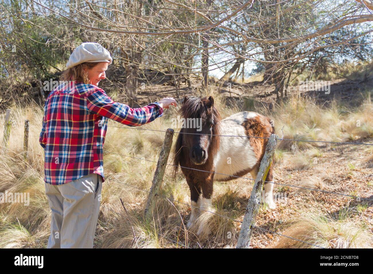woman who works in the field with ponies Stock Photo - Alamy