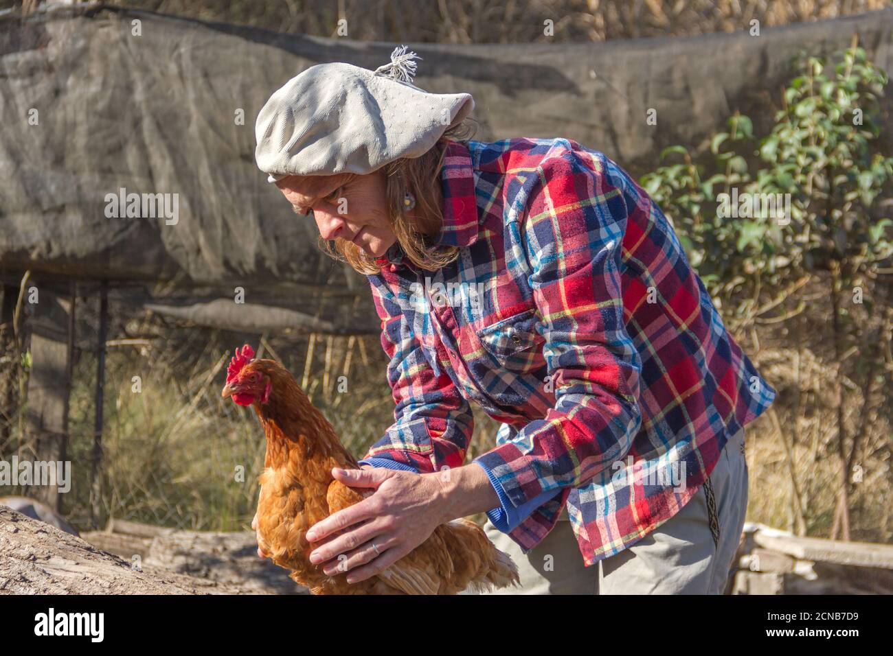 Woman with hen hi-res stock photography and images - Alamy