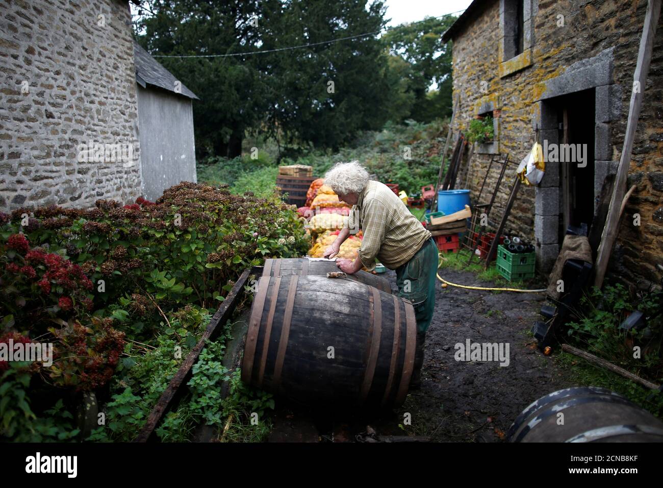 Wider barrel hi-res stock photography and images - Alamy