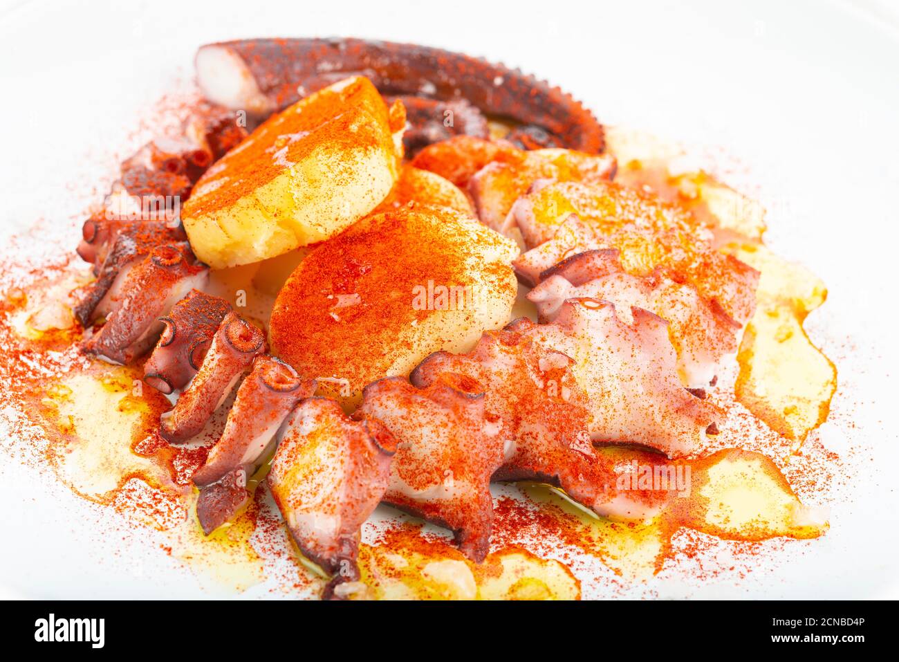 Cooked octopus tentalce isolated on a white background and decorated ...