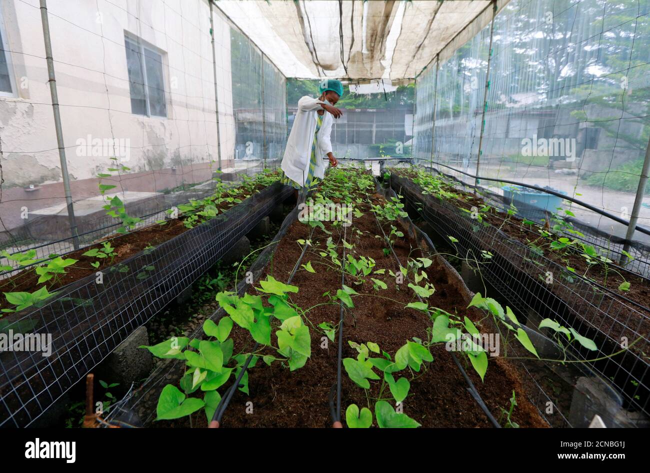 Biotechnician hi-res stock photography and images - Alamy