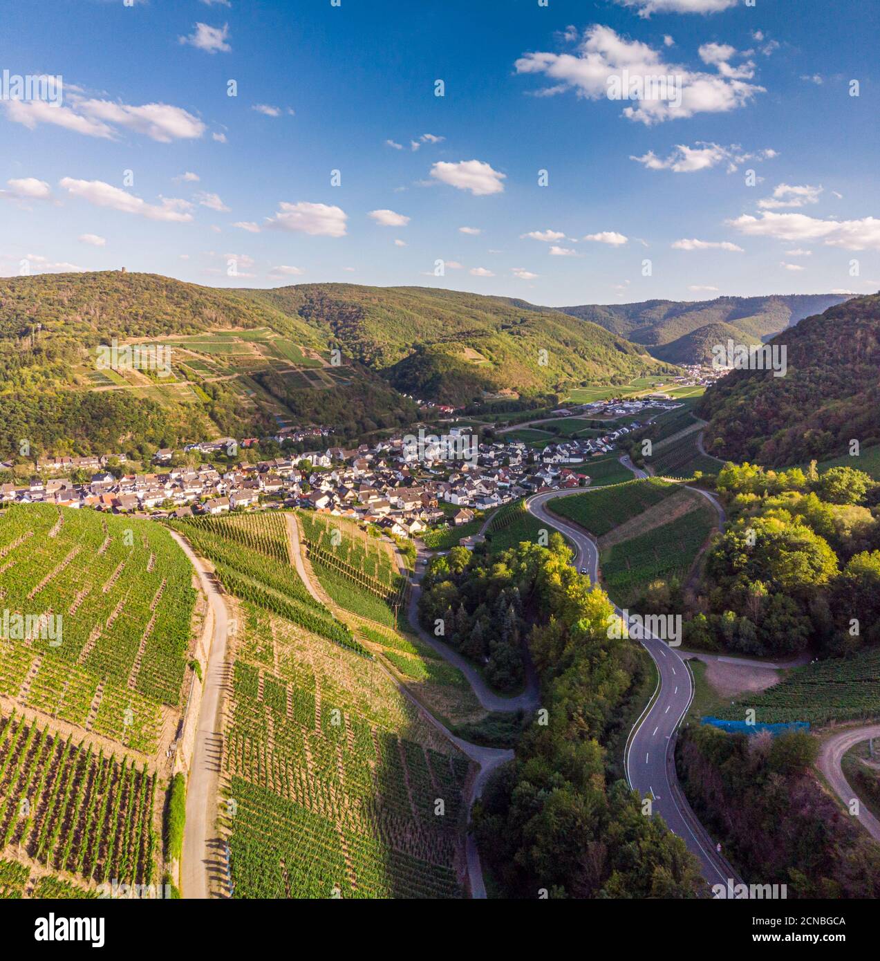 Aerial view of the Ahr valley on a sunny summer day on the red wine ...