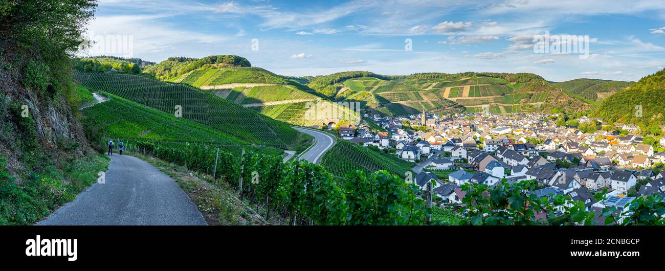 Aerial view of the Ahr valley on a sunny summer day on the red wine ...