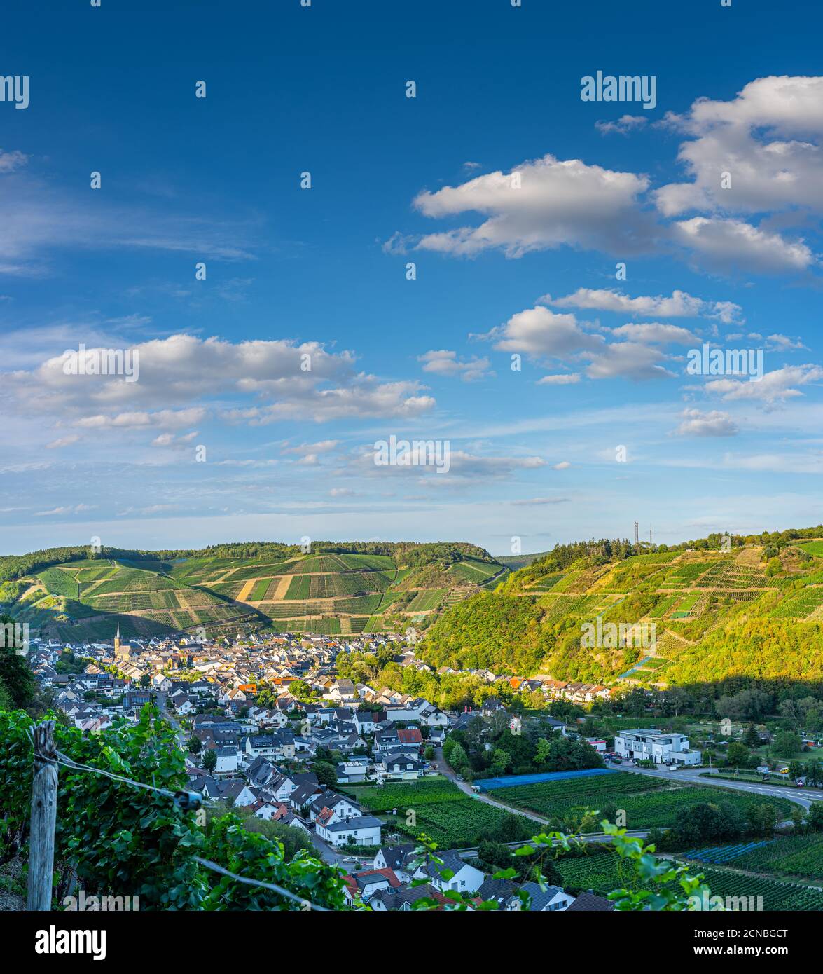 Aerial view of the Ahr valley on a sunny summer day on the red wine ...