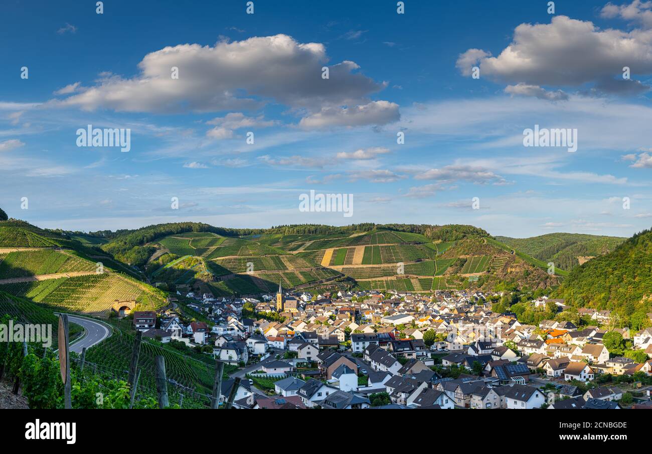 Aerial view of the Ahr valley on a sunny summer day on the red wine ...