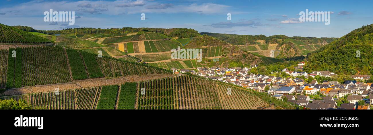 Aerial view of the Ahr valley on a sunny summer day on the red wine ...