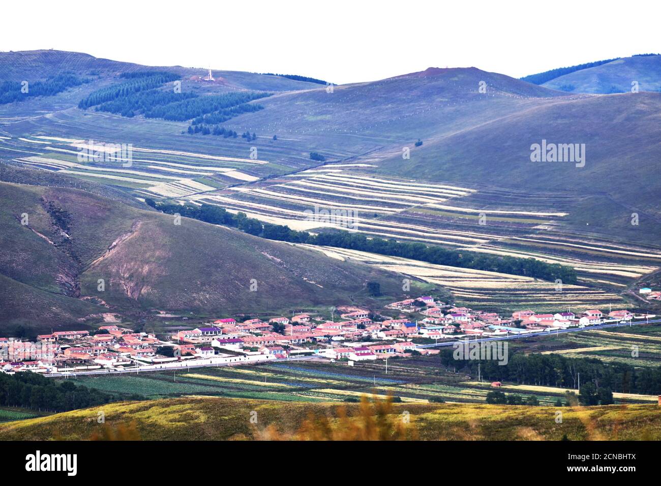 Bashan hi-res stock photography and images - Alamy