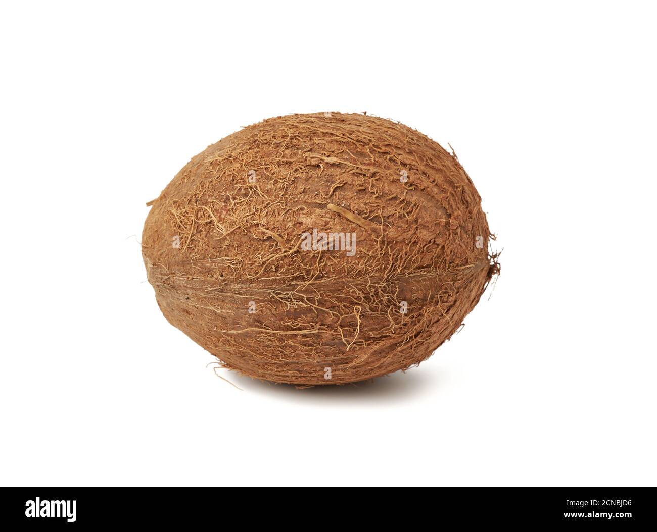 ripe whole round coconut isolated on white background Stock Photo - Alamy