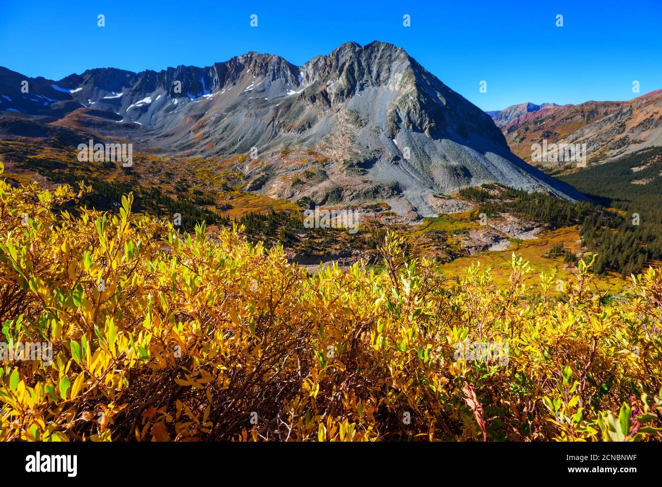 Autumn in Colorado Stock Photo - Alamy