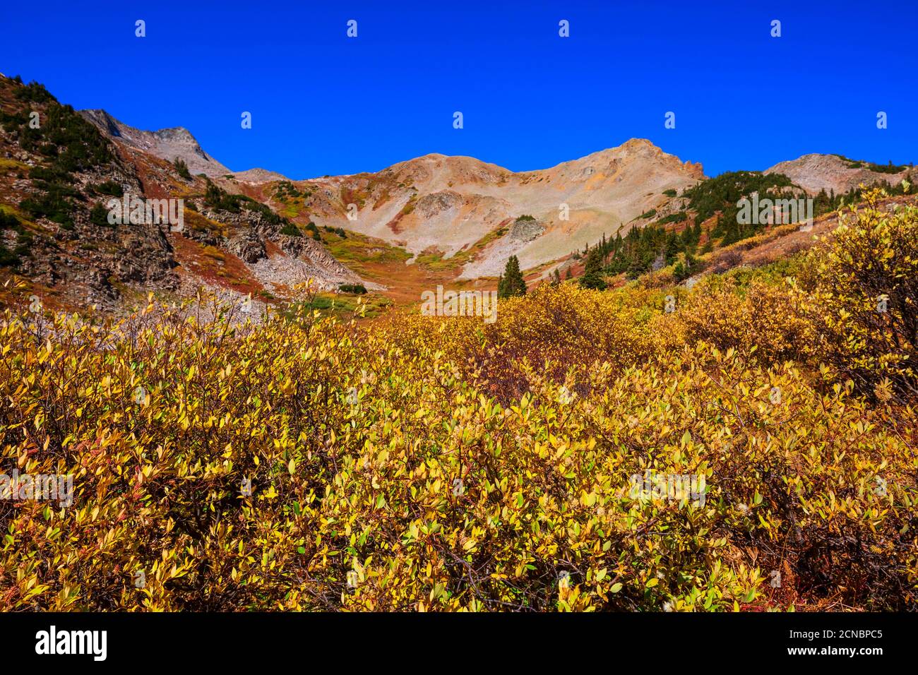Autumn in Colorado Stock Photo - Alamy