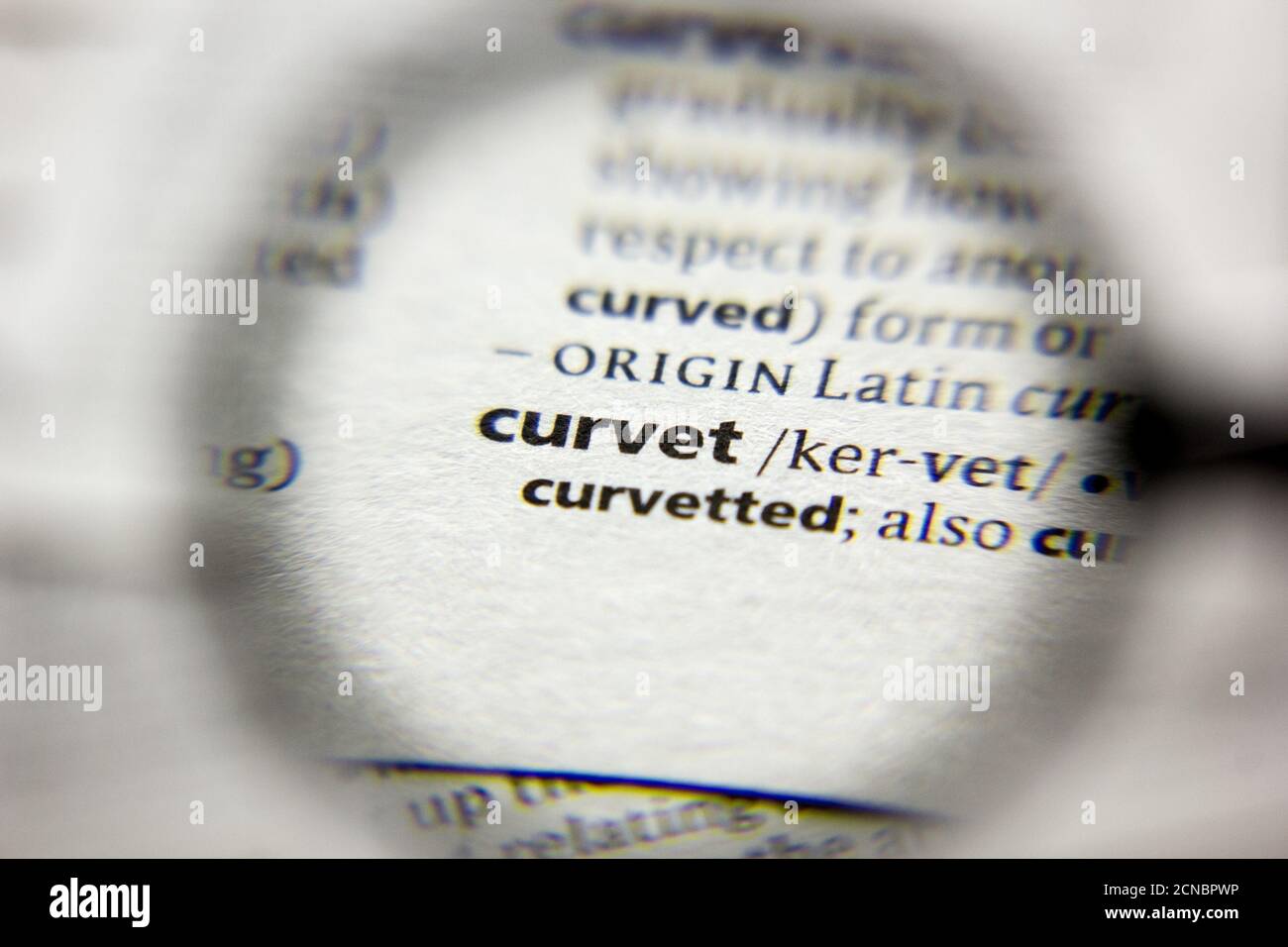 Curvet hi-res stock photography and images - Alamy
