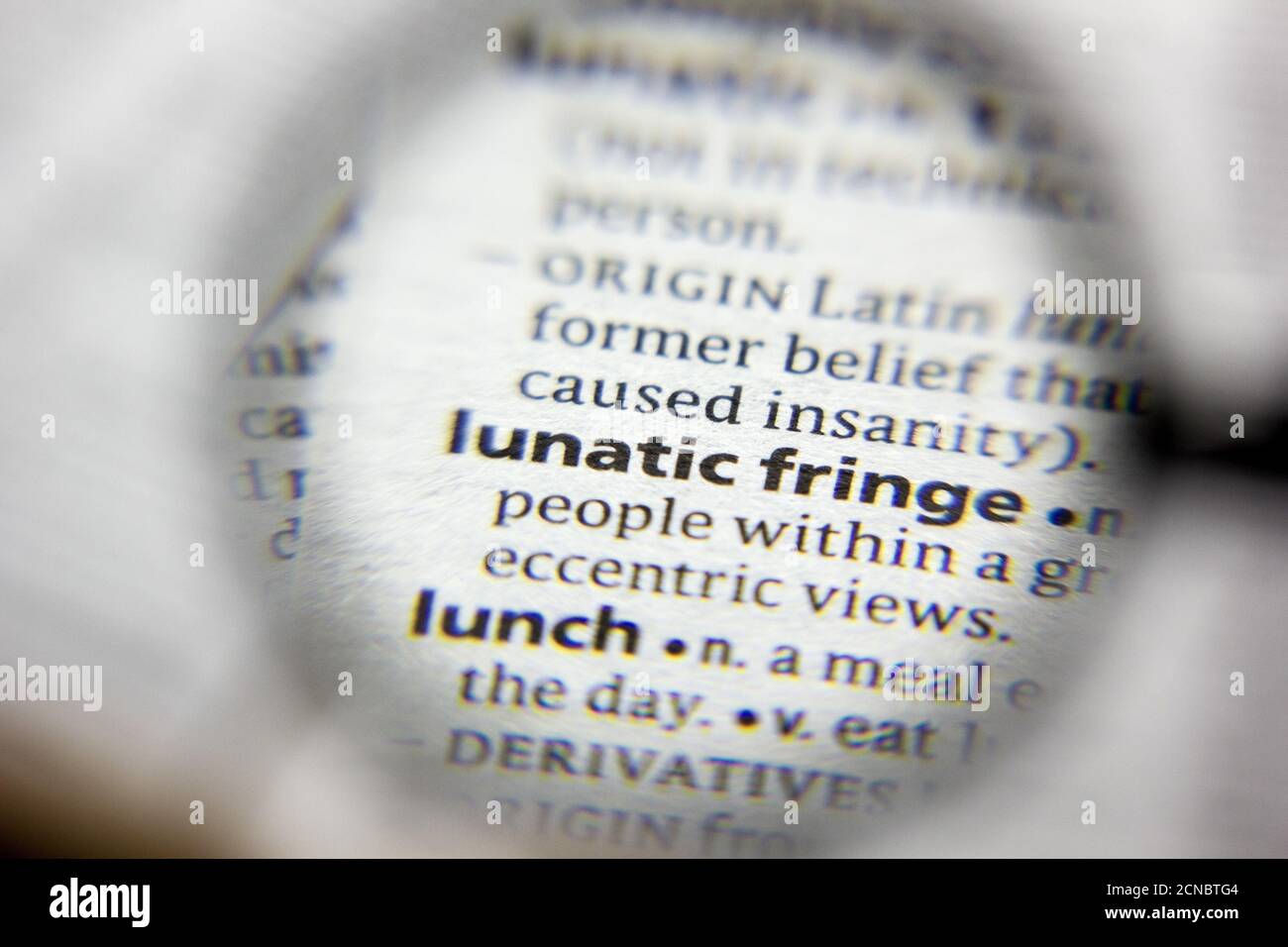 The word or phrase Lunatic fringe in a dictionary Stock Photo - Alamy