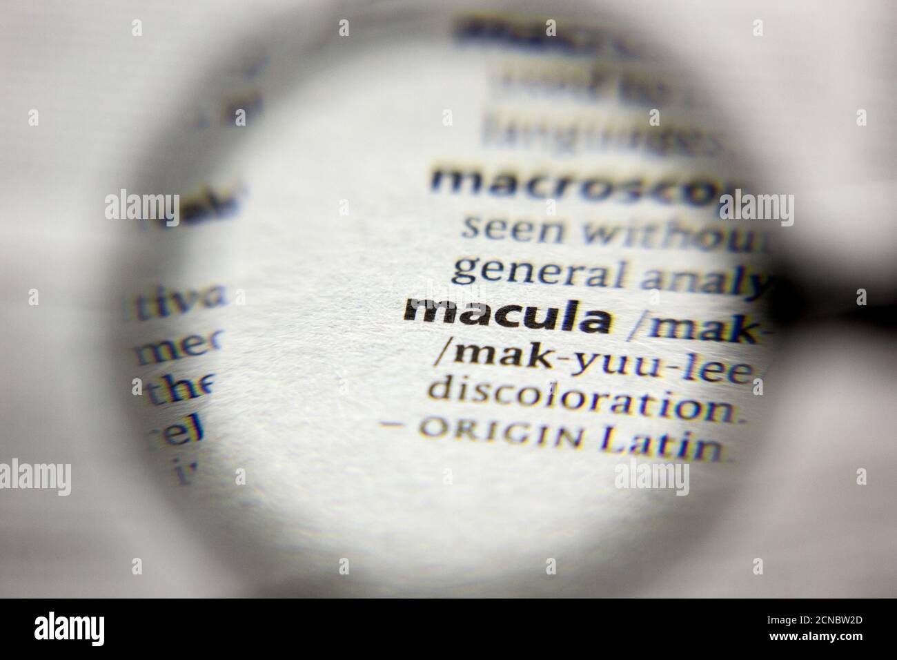 The word or phrase Macula in a dictionary Stock Photo - Alamy