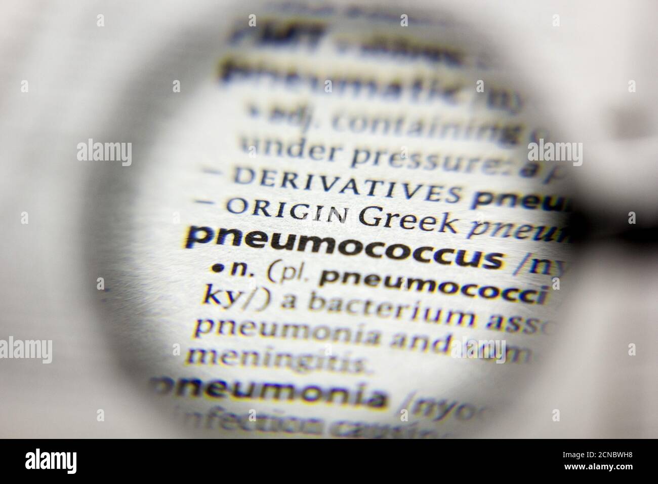 The word or phrase Pneumococcus in a dictionary Stock Photo - Alamy