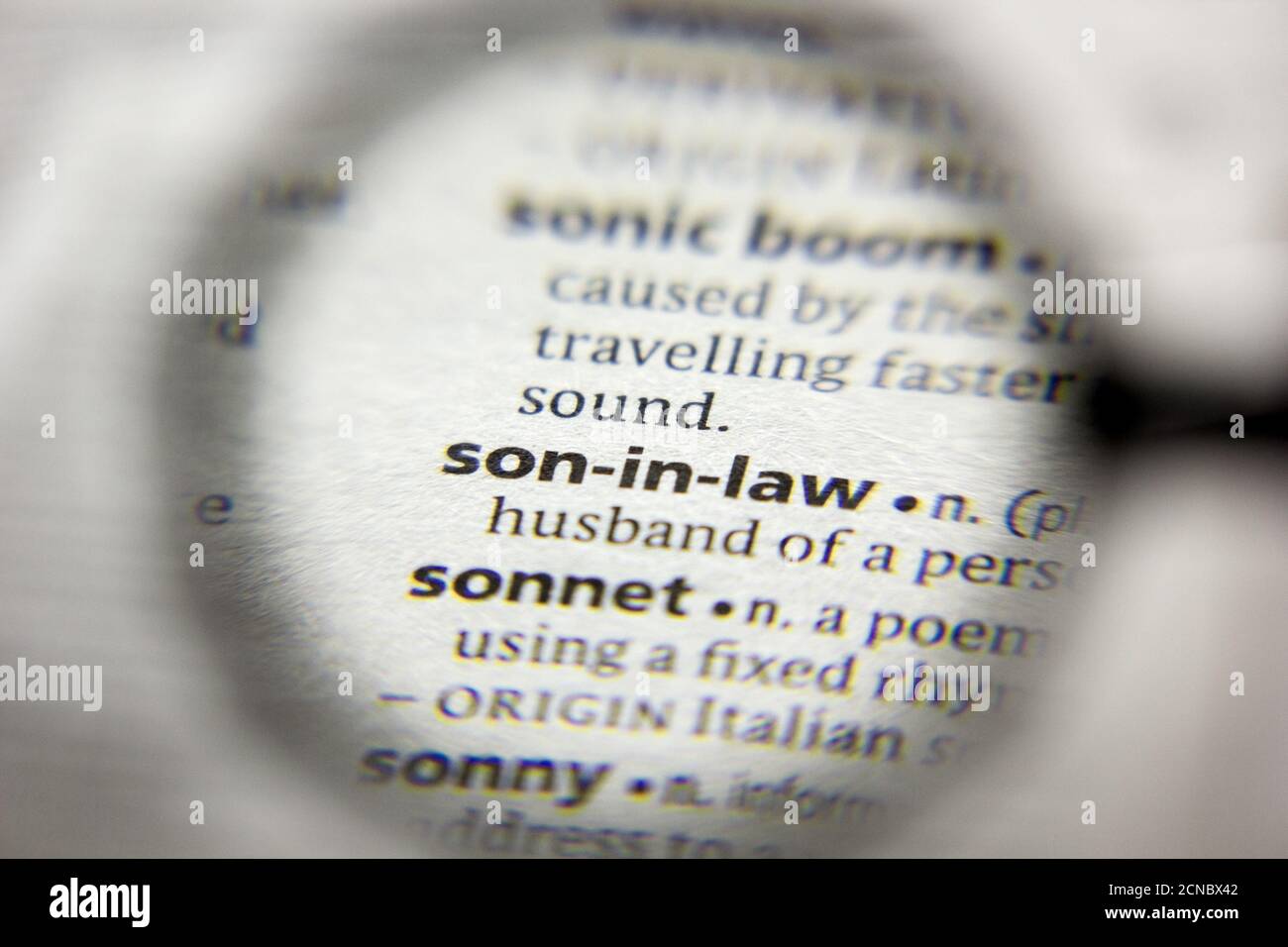The word or phrase Son-in-law in a dictionary Stock Photo - Alamy