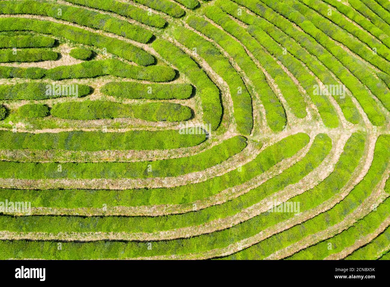 Farm texture hi-res stock photography and images - Alamy